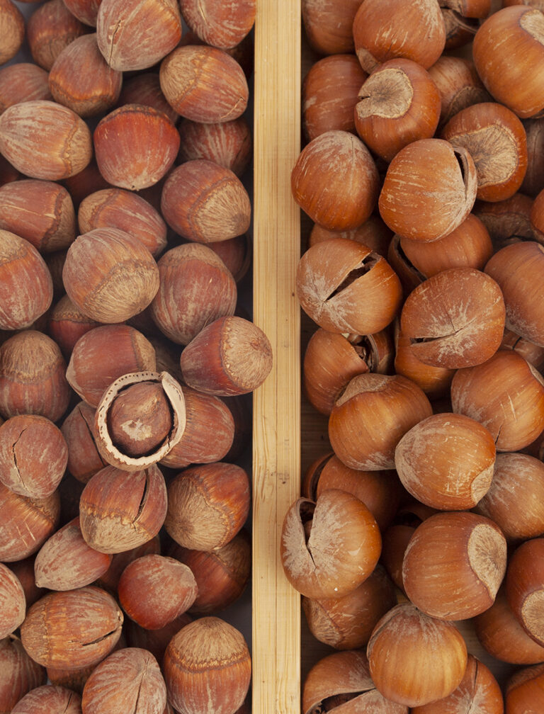 HWC Hazelnuts | Wangchang Food | Finest Hazelnuts Supplier from China
