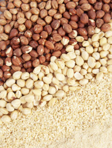 HWC Hazelnuts | Wangchang Food | Finest Hazelnuts Supplier from China
